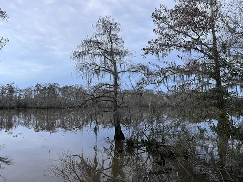 Best Hikes and Trails in Fairview-Riverside State Park | AllTrails