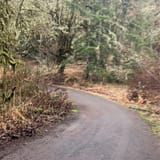 Fitton Green Natural Area Trail, Oregon - 381 Reviews, Map | AllTrails