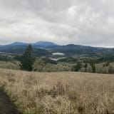 Fitton Green Natural Area Trail, Oregon - 381 Reviews, Map | AllTrails