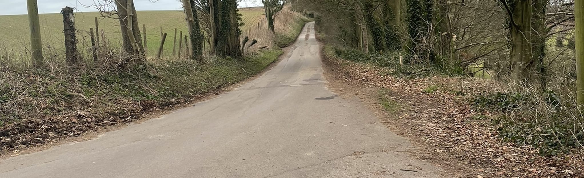 Saltwood Saunter Walk: 22 Reviews, Map - Kent, England | AllTrails