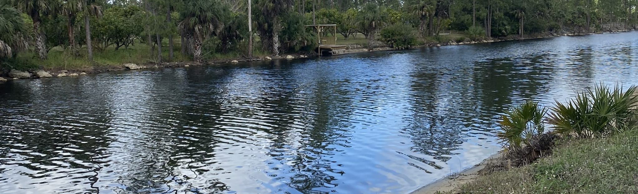 Collier County Trail: 35 Reviews, Map - Florida | AllTrails