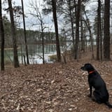 Bartram Trail: West Dam Recreation Area to Washington Road, South ...