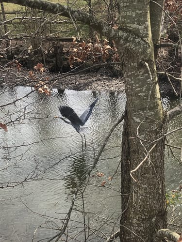 Best Hikes and Trails in Mount Trashmore Park | AllTrails