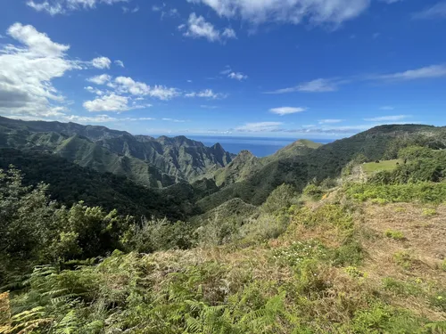 10 Best Beach Trails in Parque Rural de Anaga | AllTrails