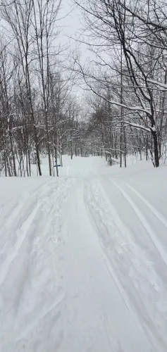 Best Bird Watching Trails in Val-David | AllTrails