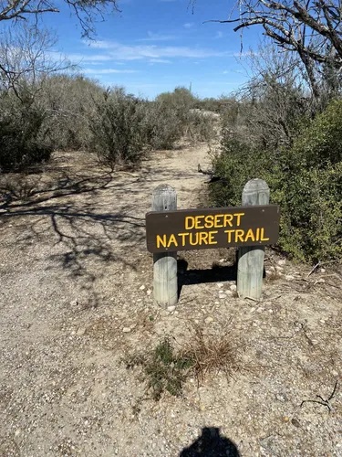 Best Hikes and Trails in Falcon State Park | AllTrails