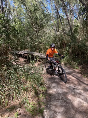 Best Hikes and Trails in Virginia Key Park | AllTrails