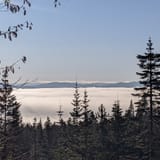 Rathdrum Mountain Trail, Idaho - 323 Reviews, Map | AllTrails