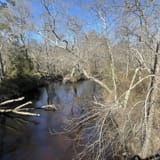 Winding River Park Trail, New Jersey - 579 Reviews, Map | AllTrails