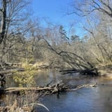 Winding River Park Trail, New Jersey - 579 Reviews, Map | AllTrails