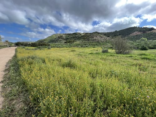 Best Hikes and Trails in Peters Canyon Regional Park | AllTrails