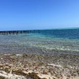 Bush Key Trail, Florida - 53 Reviews, Map | AllTrails
