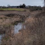 Cley Spy Circular Bird Walk, Norfolk, England - 87 Reviews, Map | AllTrails