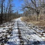 Gander Mountain Loop Trail, Illinois - 477 Reviews, Map | AllTrails