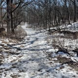 Gander Mountain Loop Trail, Illinois - 481 Reviews, Map | AllTrails