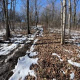 Gander Mountain Loop Trail, Illinois - 481 Reviews, Map | AllTrails