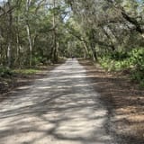 Guana Trail, Marshview Lane, and Shellbluff Road, Florida - 248 Reviews ...