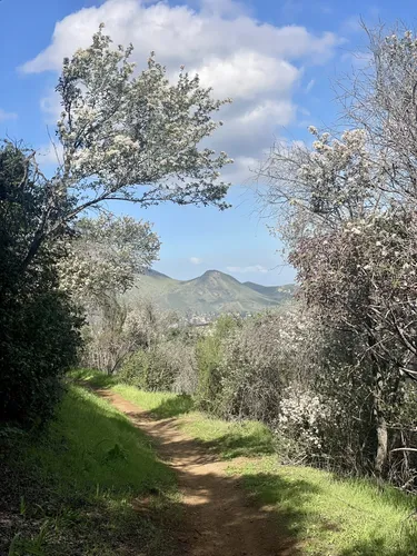 Best Hikes and Trails in Deer Ridge Open Space | AllTrails