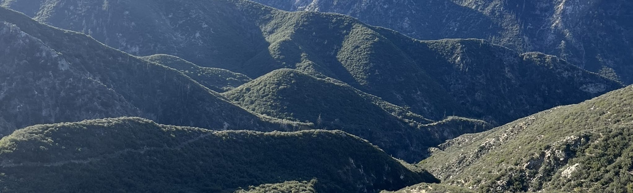Colby Canyon Trail to Strawberry Meadow: 189 Reviews, Map - California ...