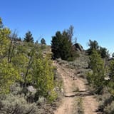 Limestone Mountain Loop, Wyoming - 11 Reviews, Map | AllTrails
