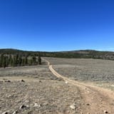 Limestone Mountain Loop, Wyoming - 16 Reviews, Map | AllTrails