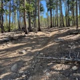 Limestone Mountain Loop, Wyoming - 16 Reviews, Map | AllTrails