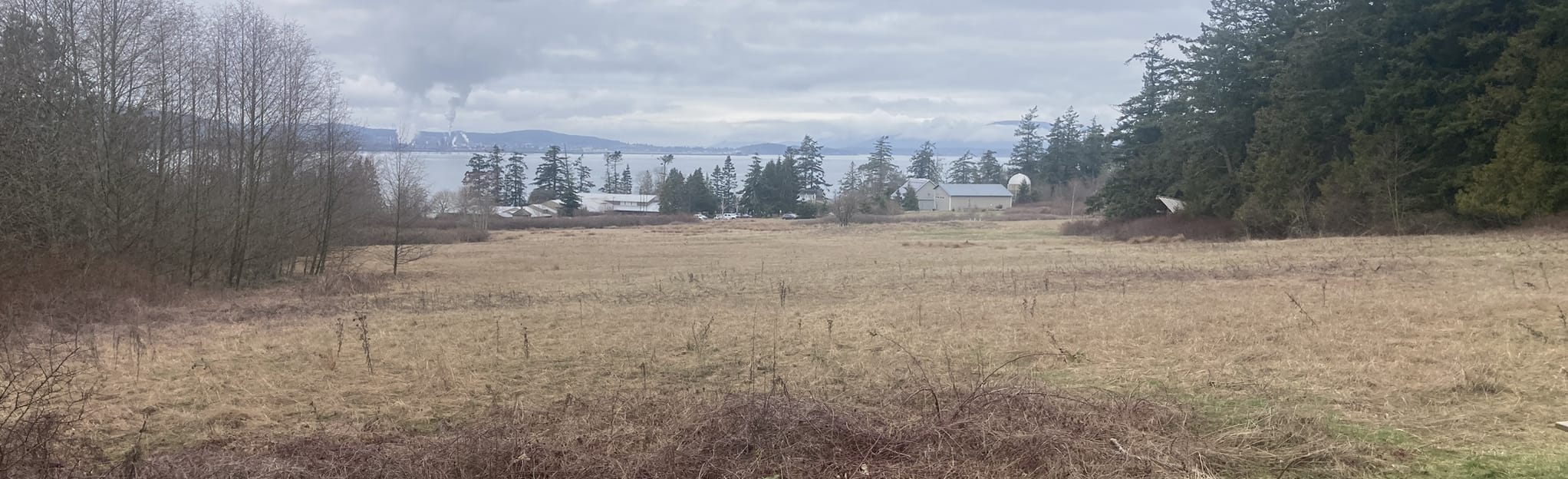 Padilla Bay Loop: 59 Reviews, Map - Washington | AllTrails