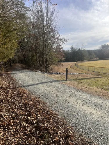 Best Hikes and Trails in Laurel Springs Regional Park | AllTrails
