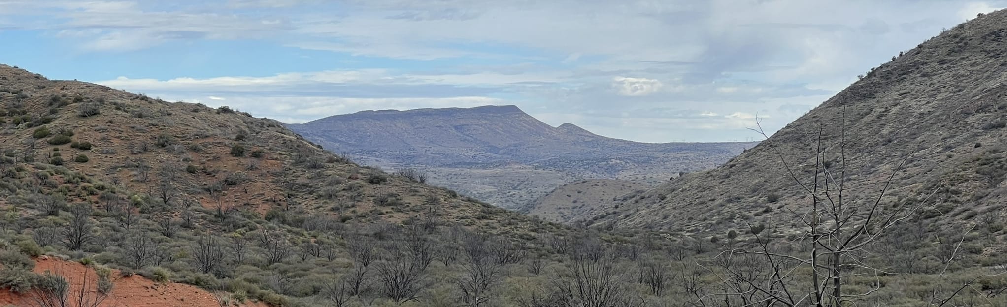 Bronco Trail, Arizona - 70 Reviews, Map | AllTrails
