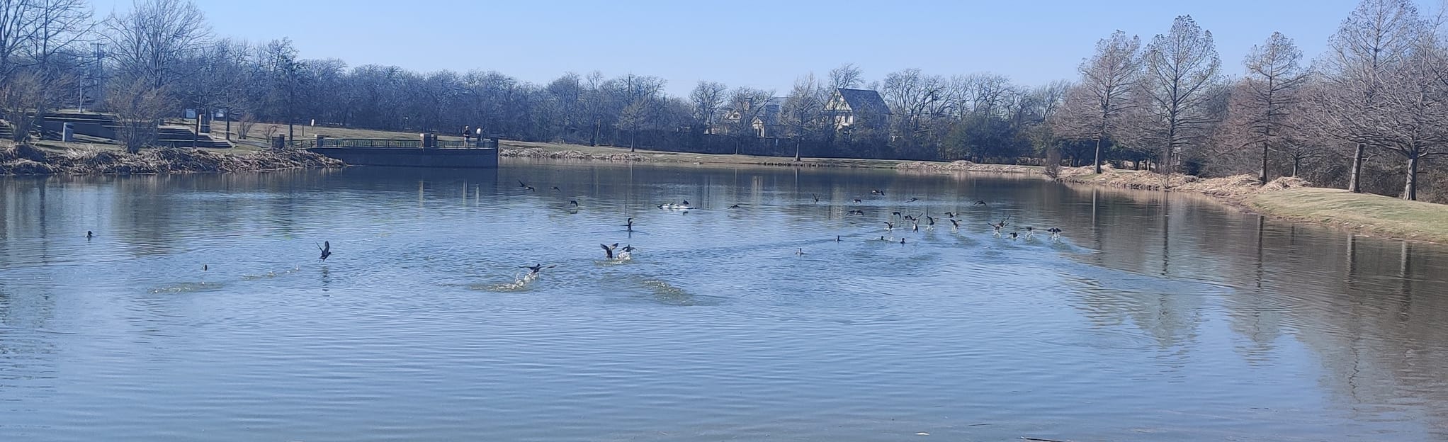 Frisco Commons Park Trail, Texas - 140 Reviews, Map | AllTrails