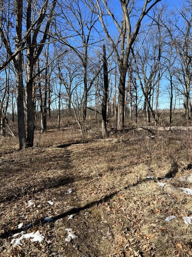 Best Hikes and Trails in Marengo Ridge Conservation Area | AllTrails