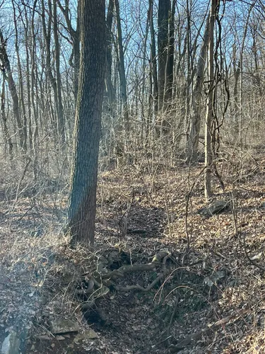 Best Hikes and Trails in B. Leroy and Elizabeth Burkhart Preserve ...