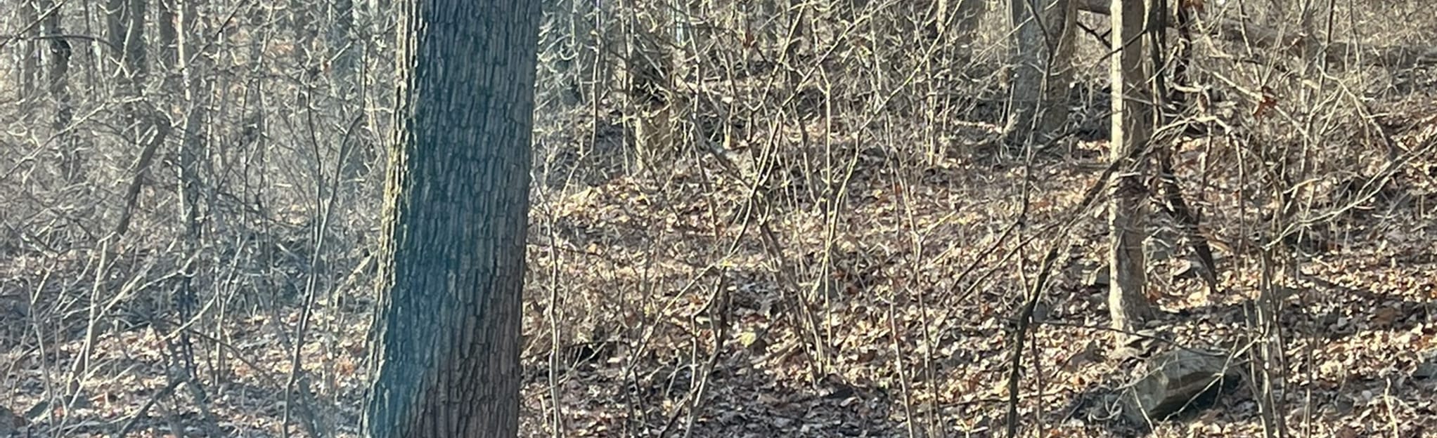 Burkhart Preserve: Blue, Yellow, Orange, Red Loop, Pennsylvania - Map ...