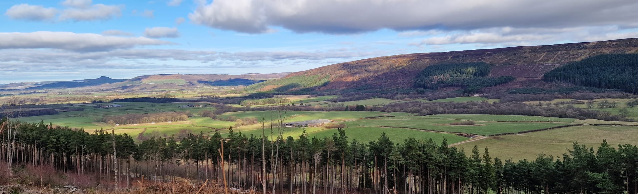 Clay Bank and Greenhow Plantation, 67 Fotos - North Yorkshire, England ...