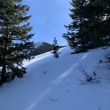 Red Grade Trails System, Wyoming - 110 Reviews, Map | AllTrails