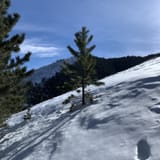 Red Grade Trails System, Wyoming - 110 Reviews, Map | AllTrails