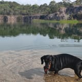 Karawatha Forest Park Quarry, Queensland, Australia - 124 Reviews, Map ...