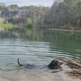 Karawatha Forest Park Quarry, Queensland, Australia - 124 Reviews, Map ...