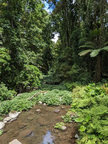 10 Best Trails and Hikes in Border Ranges | AllTrails