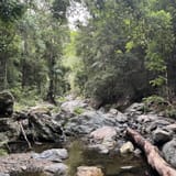 Northbrook Gorge, Queensland, Australia - 213 Reviews, Map | AllTrails