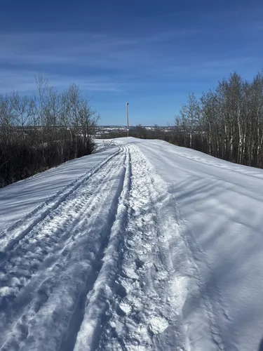 Best Forest Trails in Peace River | AllTrails