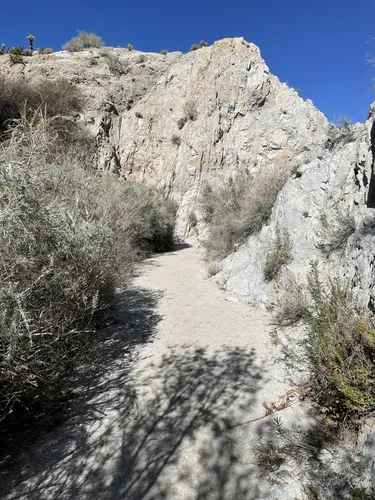 Best Hikes and Trails in Agua Caliente County Park | AllTrails
