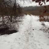 Waterloo-Pinckney Trail, Michigan - 469 Reviews, Map | AllTrails
