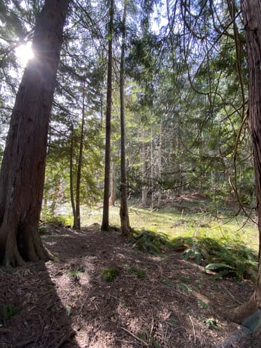 Best Hikes and Trails in Hemer Provincial Park | AllTrails