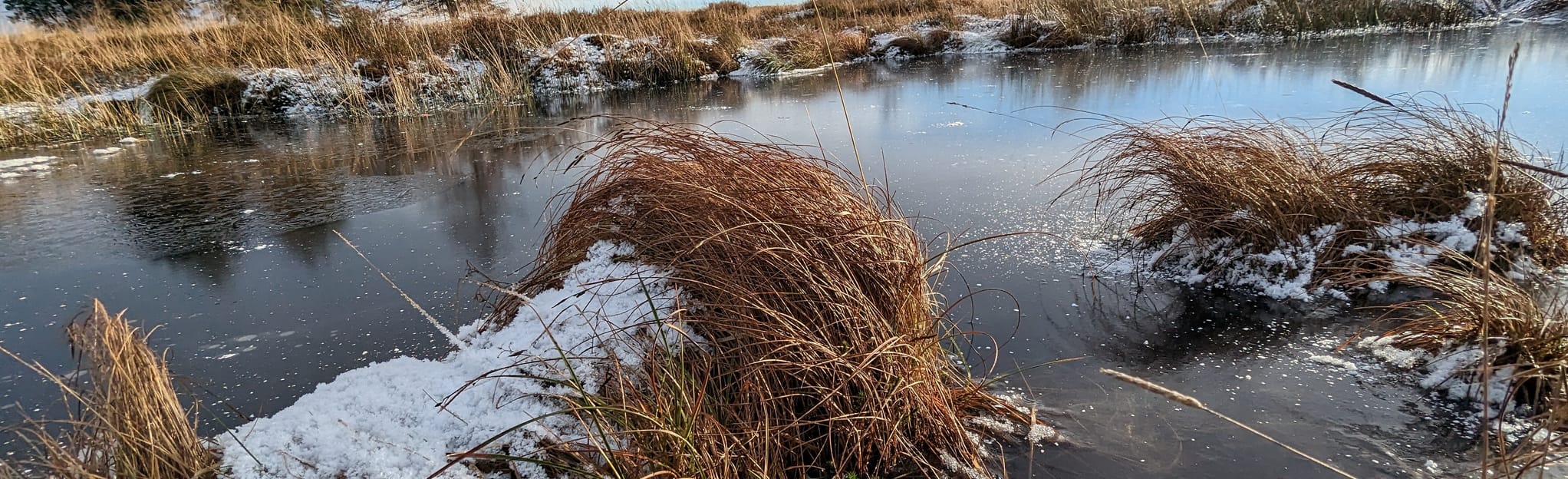 Palacerigg and Glencryan Circular: 30 Reviews, Map - West ...