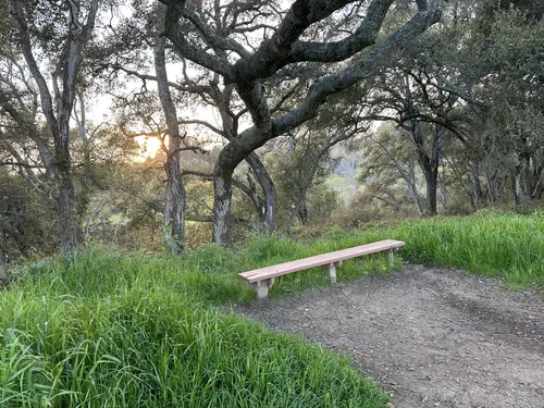 Best Hikes and Trails in Pinto Lake County Park | AllTrails