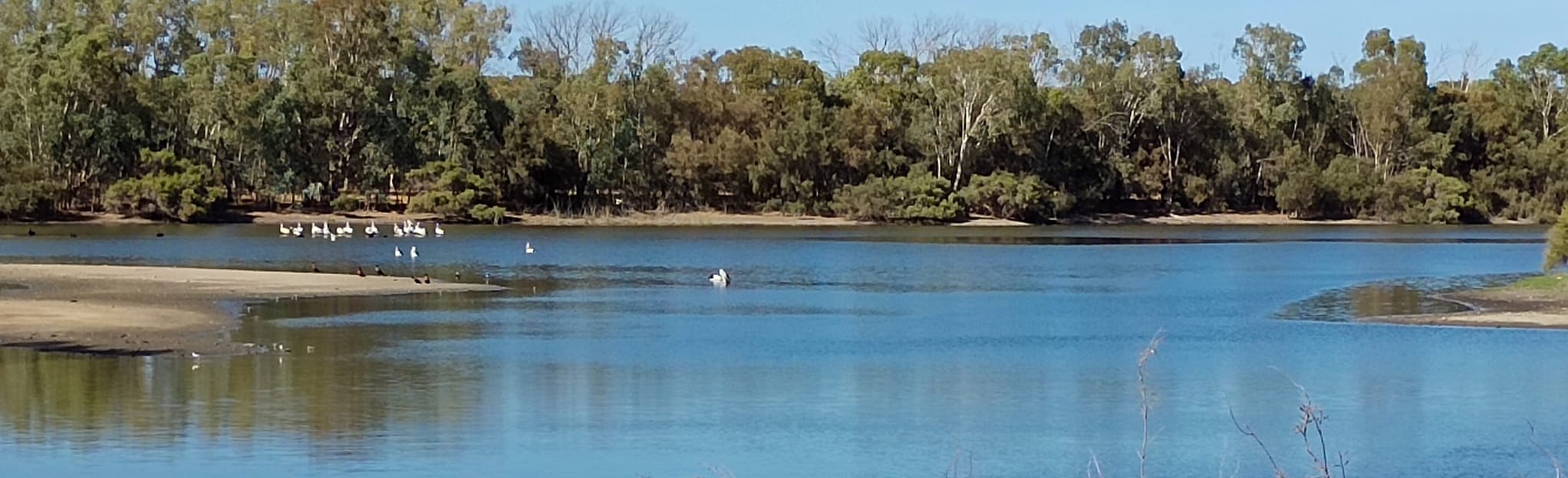 Alcoa Wellard Wetlands, Western Australia, Australia - 19 Reviews, Map ...