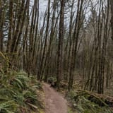Cooks Butte Loop, Oregon - 399 Reviews, Map | AllTrails