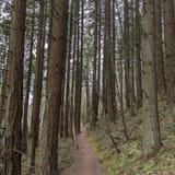 Cooks Butte Loop, Oregon - 399 Reviews, Map | AllTrails