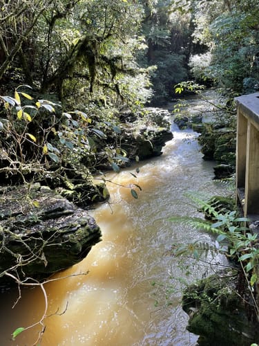 2023 Best Views Trails in Te Anga | AllTrails